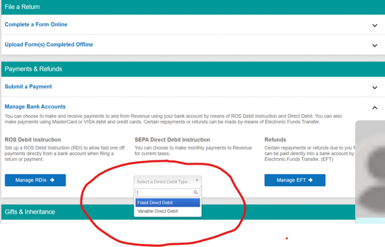 A Guide to Paying Your Irish Taxes by Direct Debit - Alison Furney F.C ...